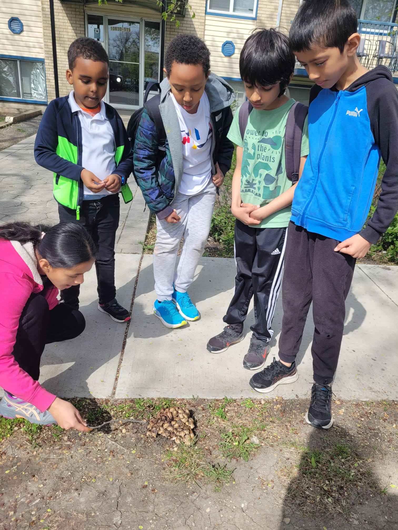 Gallery – Learning Robin Montessori Daycare & OSC